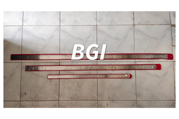 Steel Rule Graduated is 1 of the Best Product By BGI - BGI